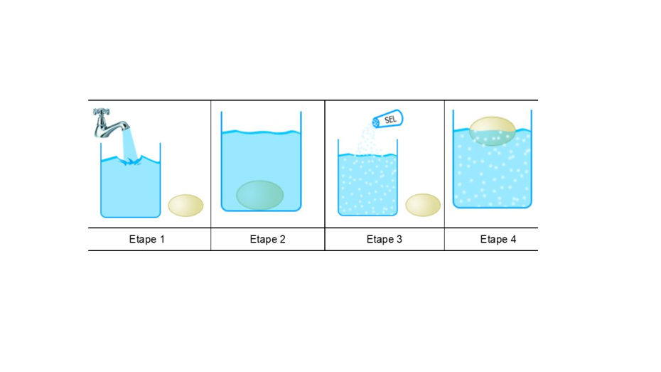 La densité de l’eau : comprendre le rapport entre la masse d'un corps ...